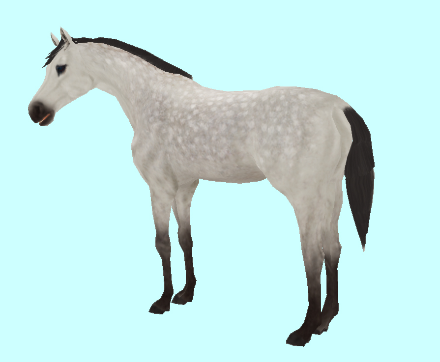 Announcing the development of Virtual Horse Ranch 3D (VHR3D)! | Virtual ...
