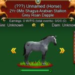 Virtual Horse Ranch 3D | Horse Ranch Management Game